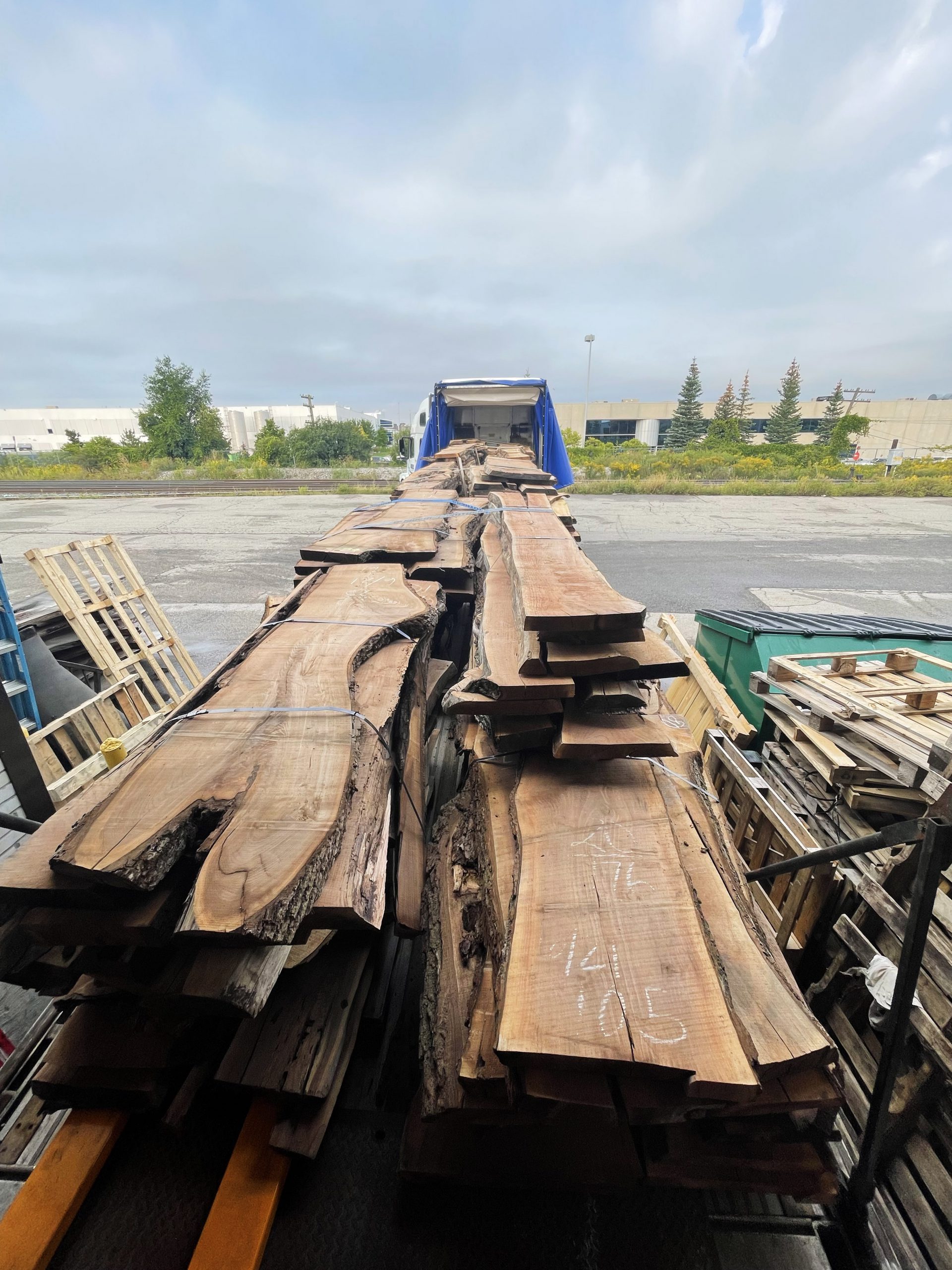 Slabs for Custom Woodworking in Toronto | Angle Wood